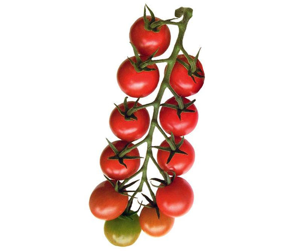 garnet cherry tomato