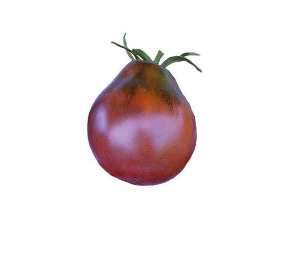 japanese black trifele uk