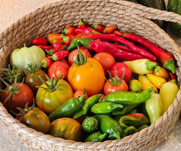 Fastest Growing Vegetables – Sandia Seed Company