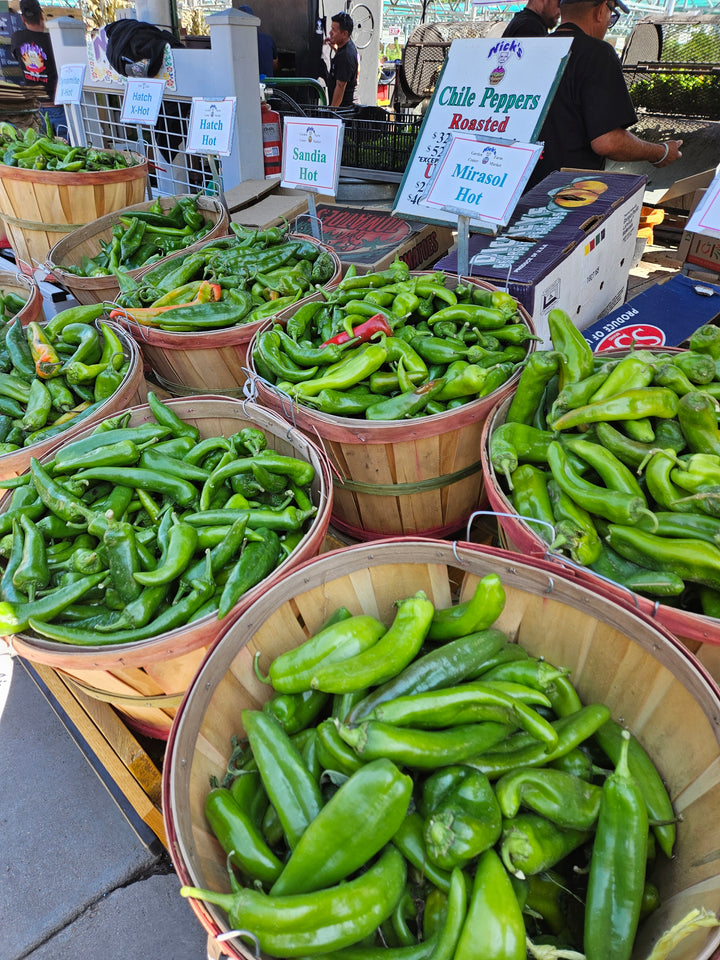 Jalapeño Jaloro Pepper Seeds - ON SALE – Sandia Seed Company