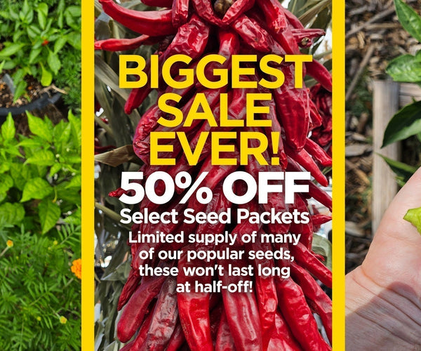 Biggest Sale Ever on Seeds! – Sandia Seed Company