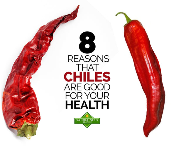 8 Reasons That Chiles Are Good For Your Health – Sandia Seed Company