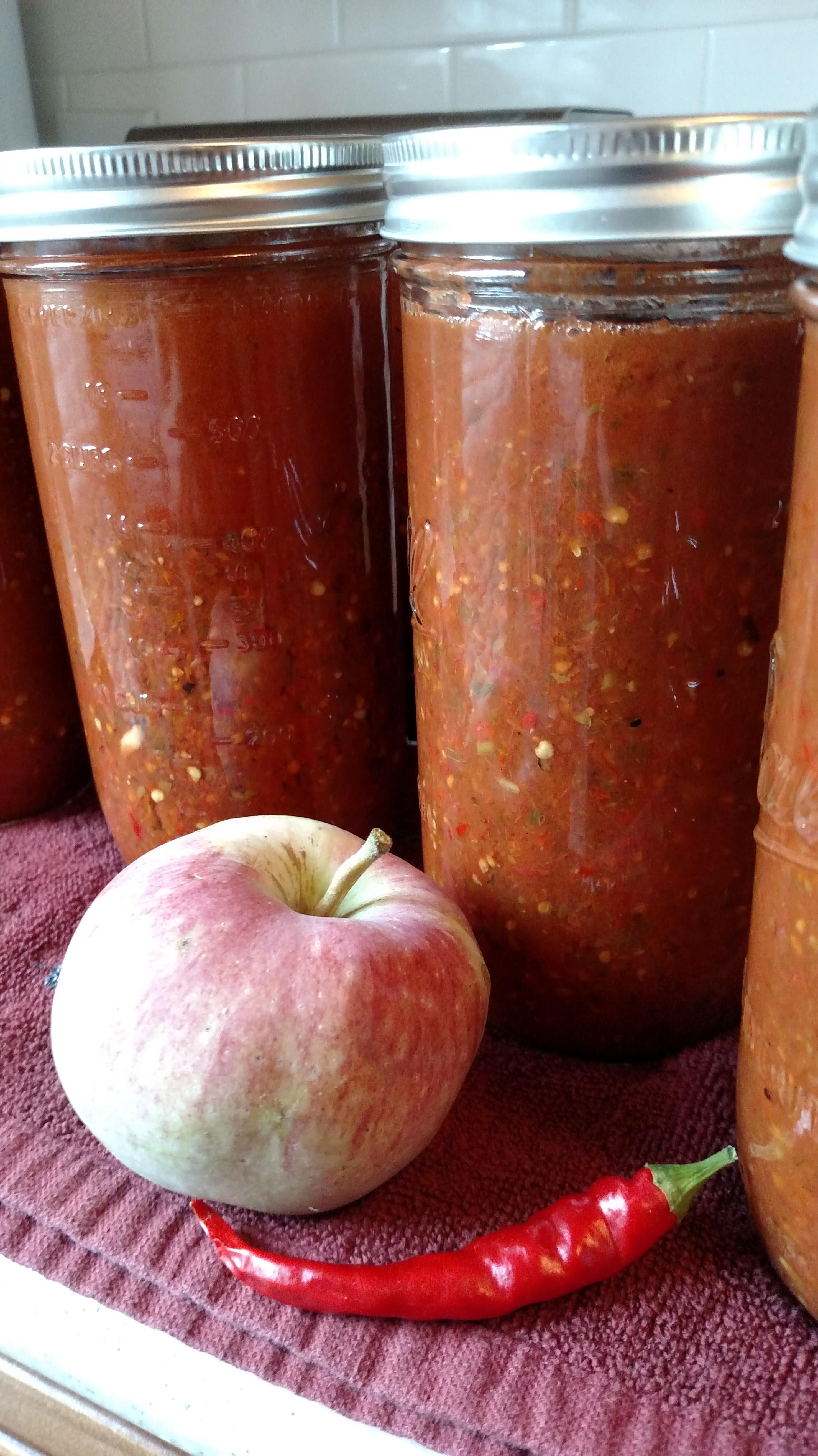 No-Peel Canned Salsa with Apples! – Sandia Seed Company