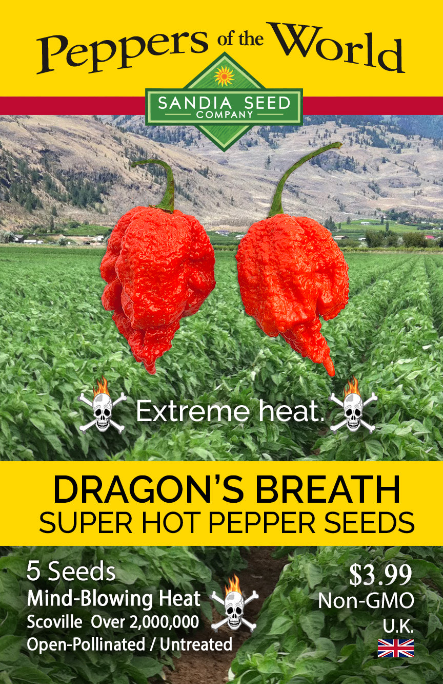 Dragon Peppers – Sandia Seed Company