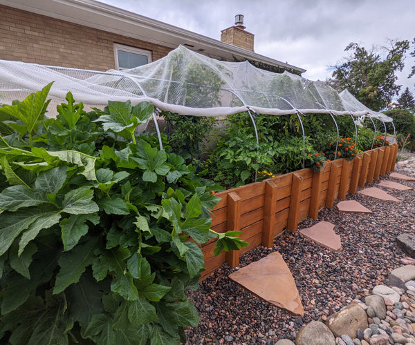 Hail Protection for Gardens – Sandia Seed Company