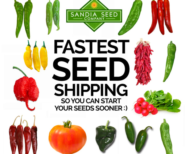Fastest Seed Shipping in the West! – Sandia Seed Company