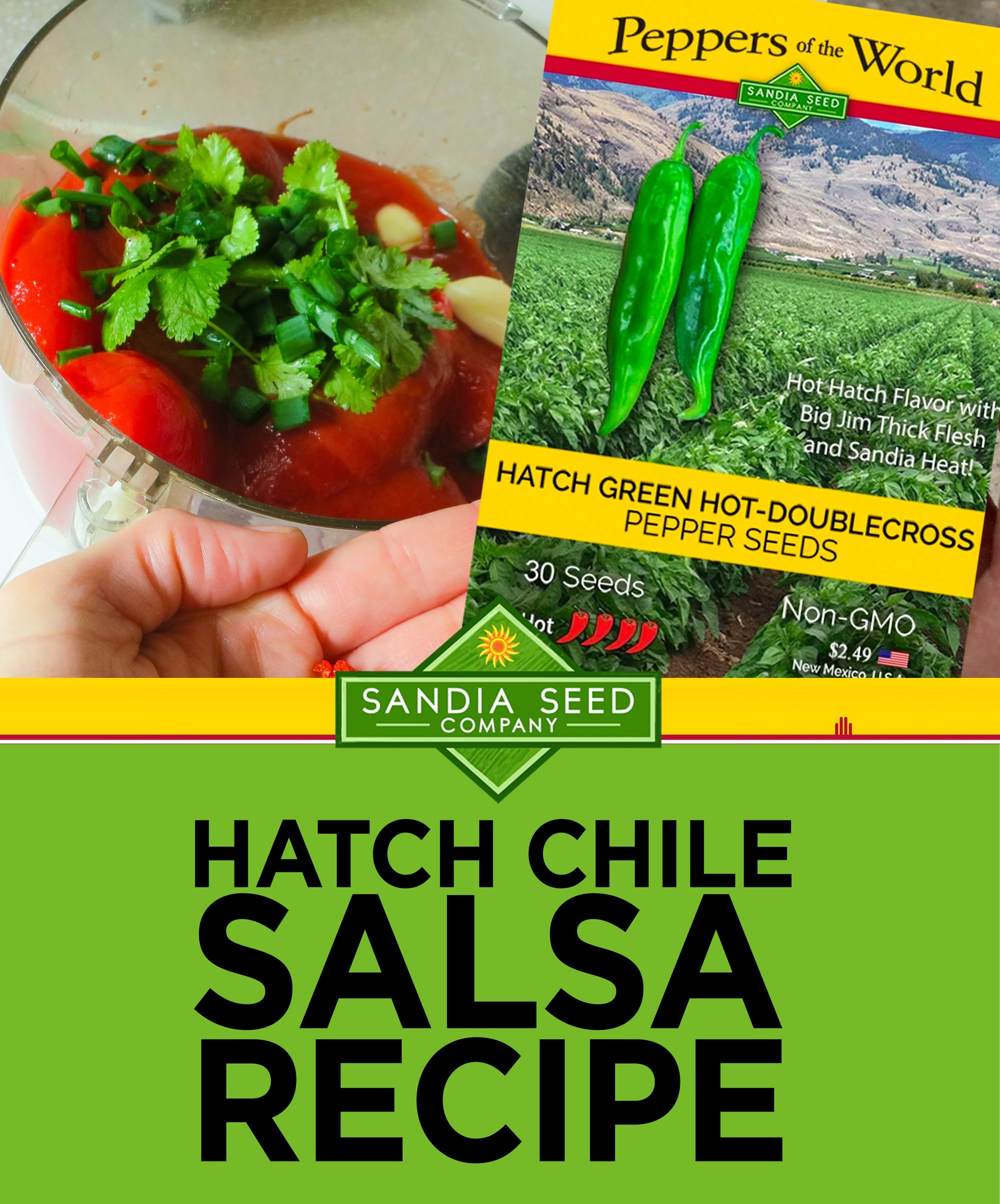 Salsa Recipes – Sandia Seed Company