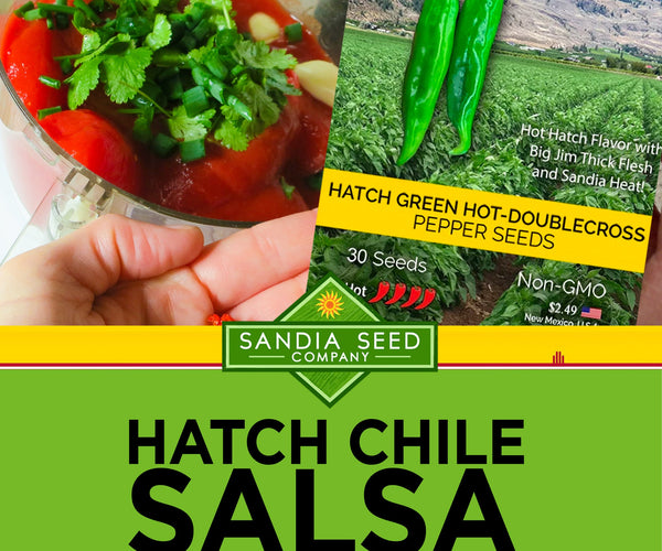 Salsa Recipes – Sandia Seed Company