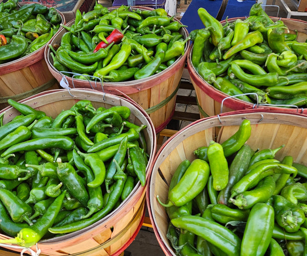 Grow Hatch Chile Seeds – Sandia Seed Company