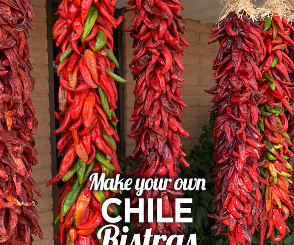 How to Make a Ristra – Sandia Seed Company