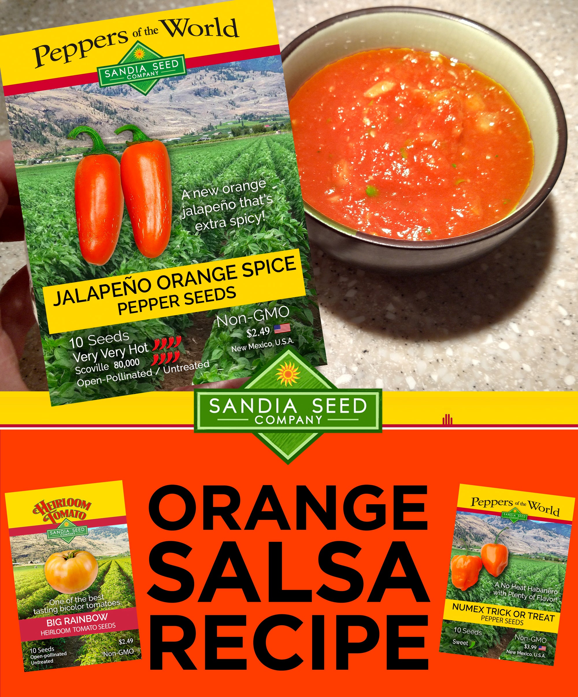 Orange Salsa Recipe – Sandia Seed Company