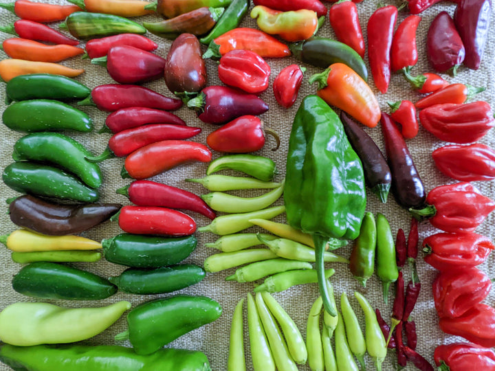 List of Peppers by Heat – Sandia Seed Company