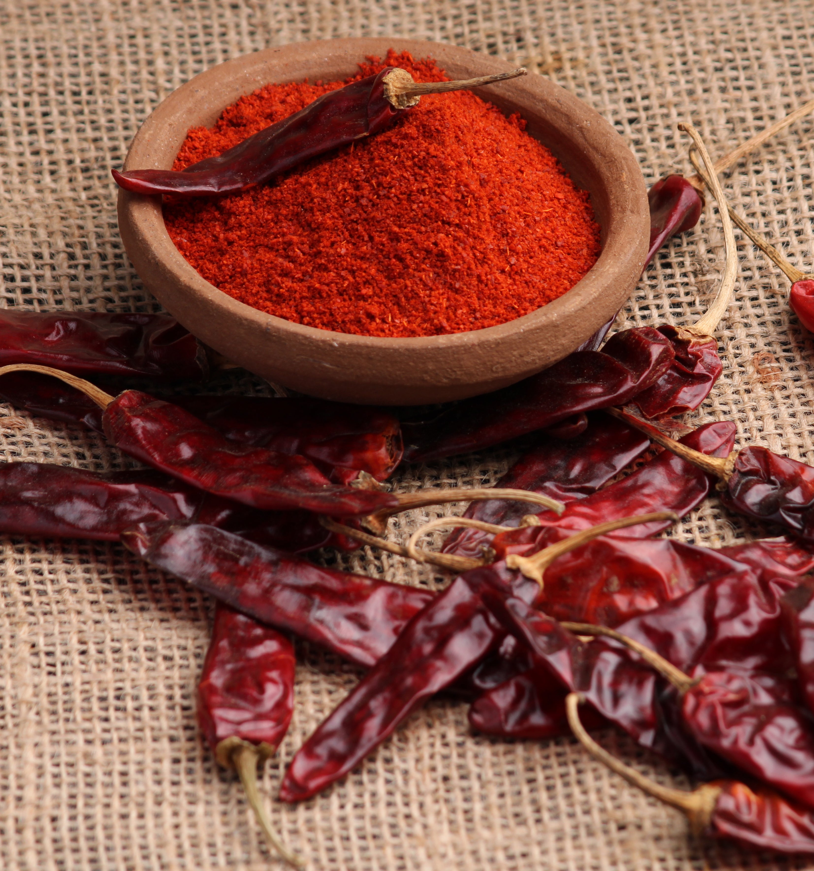 Red Chile Powder Recipe – Sandia Seed Company