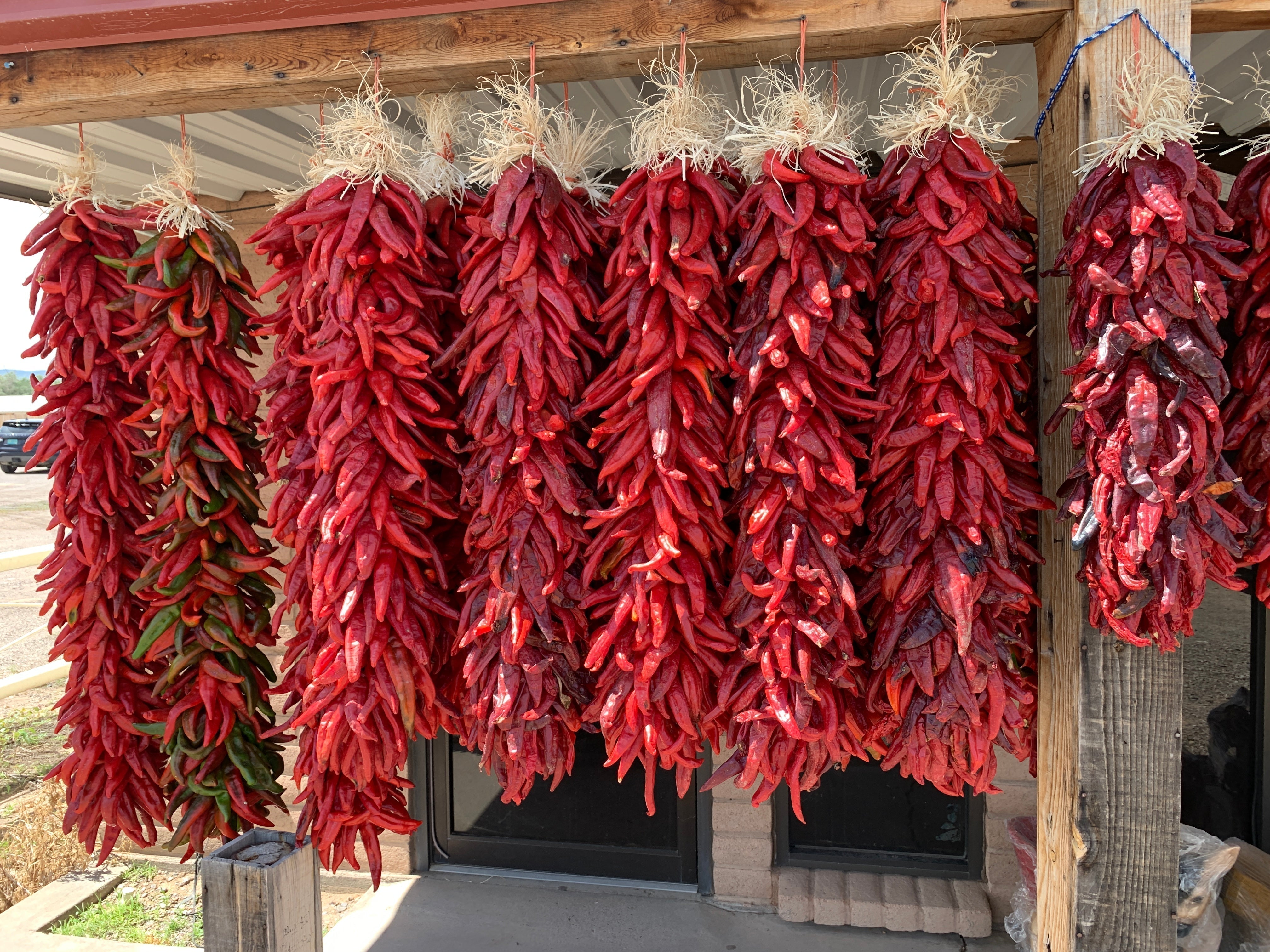 Types of Habaneros - Listed by Heat! – Sandia Seed Company