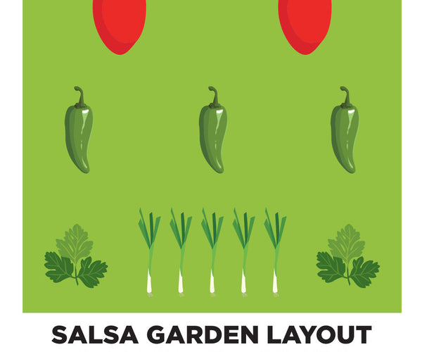Salsa Garden Layout – Sandia Seed Company