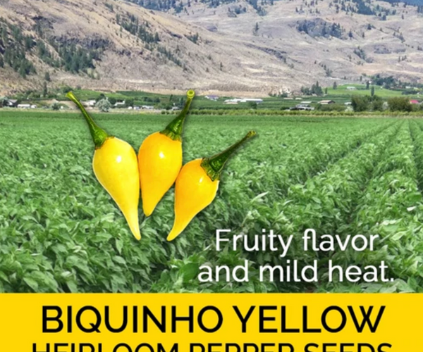 Brazilian Pepper Seeds – Sandia Seed Company