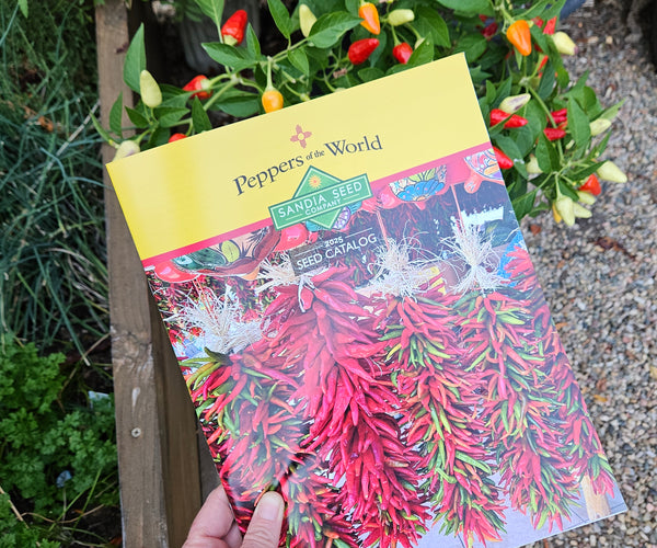 Pepper Seed Catalog – Sandia Seed Company
