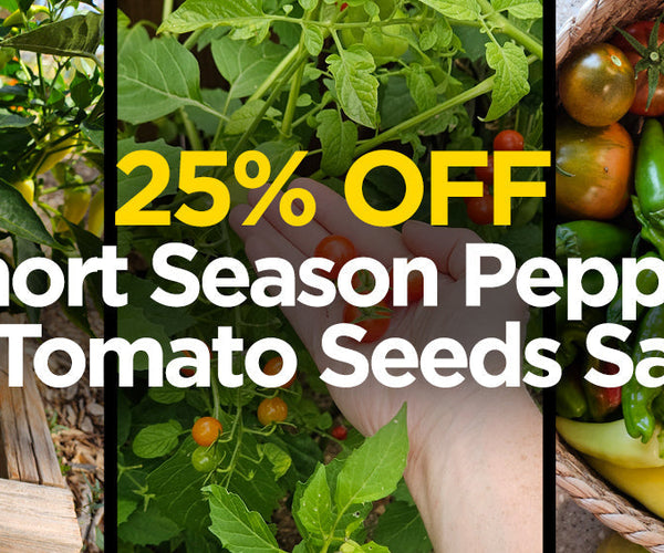 Short Season Pepper & Tomato Seeds on Sale! – Sandia Seed Company