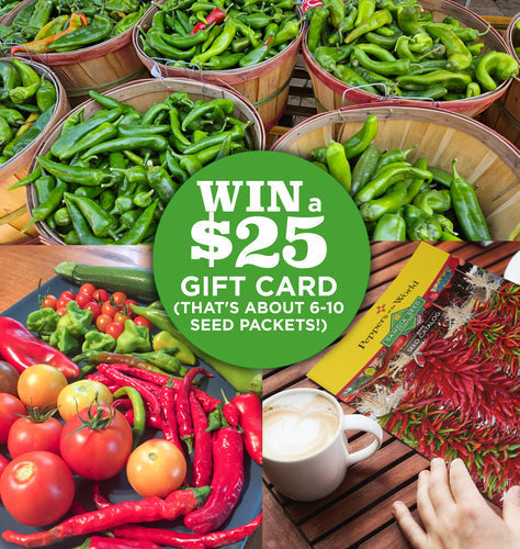 Seed Reviews Contest – Sandia Seed Company