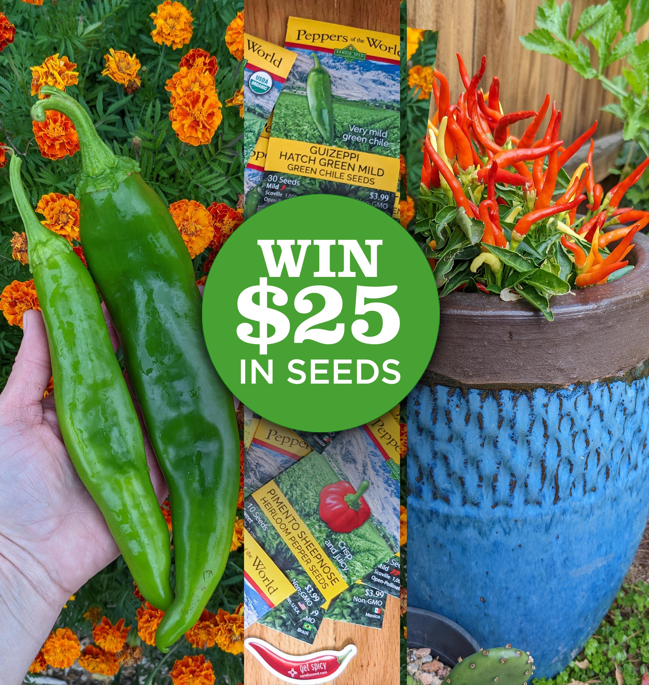 Win Free Seeds with a Seed Review! – Sandia Seed Company