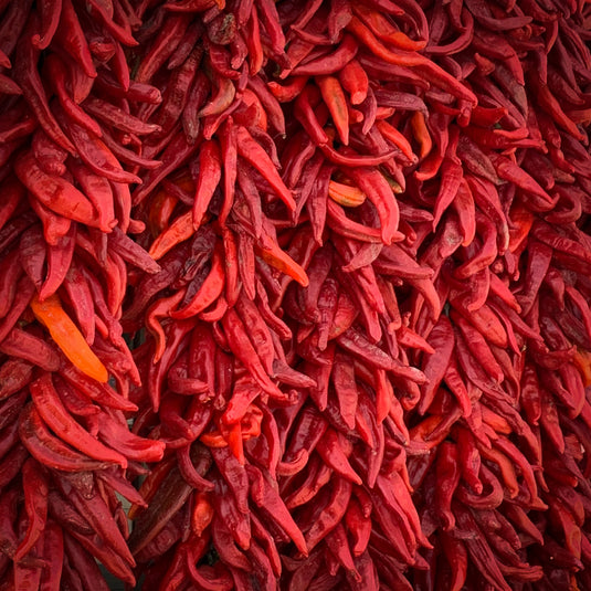 Red Chile Seeds – Sandia Seed Company