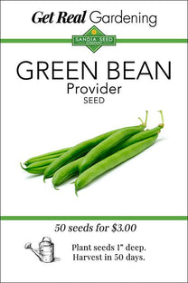 Bean - Provider Green Bush Bean Seeds – Sandia Seed Company