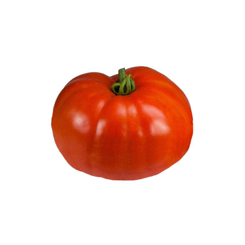 Beefmaster F1 Tomato Seeds - Big Flavor - Vigorous Disease Resistant ...