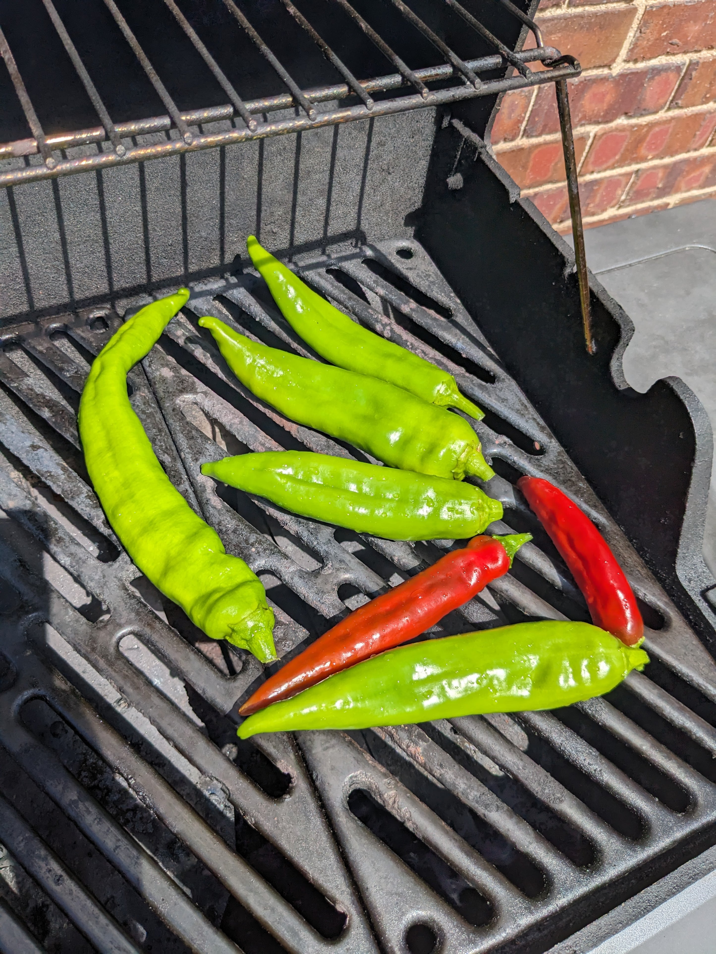 Big Jim Legacy Pepper Seeds – Sandia Seed Company