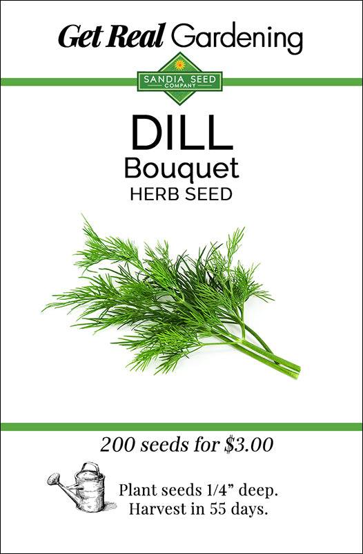 Bouquet Dill Seeds - great for cooking and pickling! – Sandia Seed Company