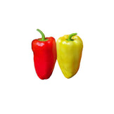Gypsy Sweet Pepper Seeds - Great Flavor and Productive – Sandia Seed ...