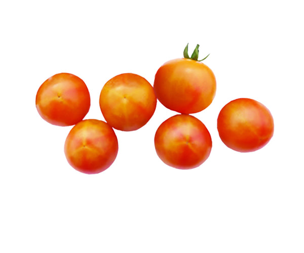 Isis Candy Tomato Seeds - Cherry Tomato Bi-color - Heirloom – Sandia ...