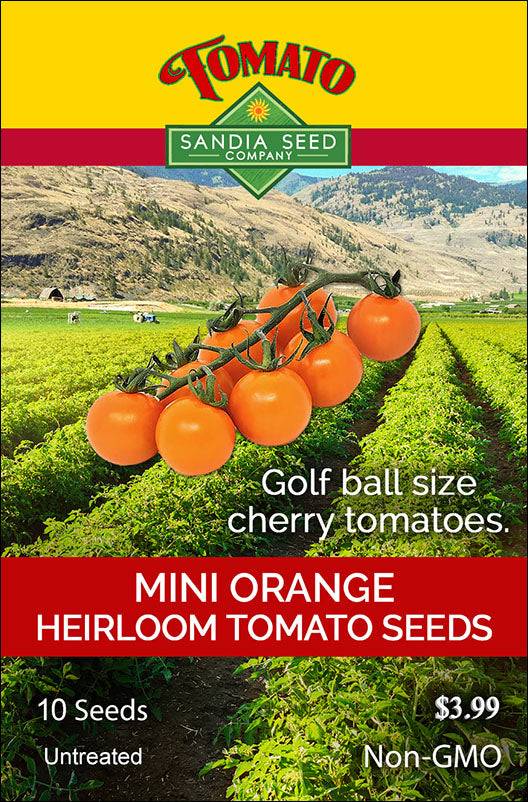 Tomato - Mini Orange Seeds - NEW! – Sandia Seed Company