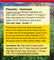 Pimento Pepper Seeds - Heirloom Sweet Peppers | GMO-Free – Sandia Seed ...