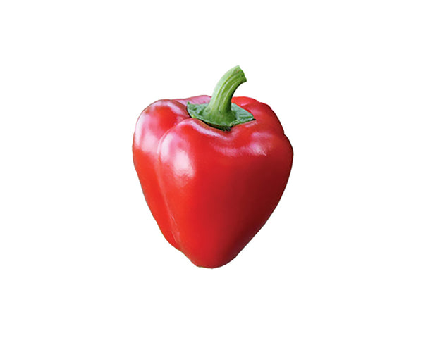 Pimento Pepper Seeds - Heirloom Sweet Peppers | GMO-Free – Sandia Seed ...