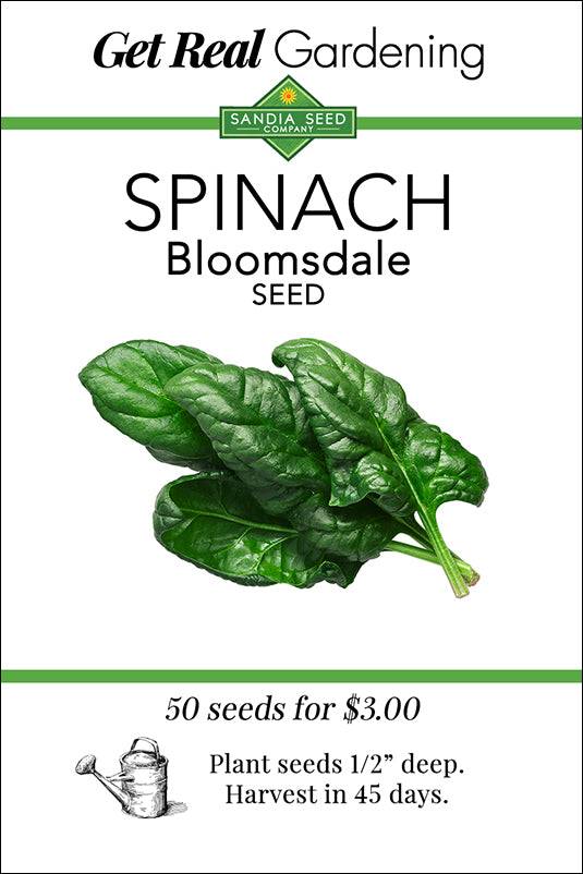 Bloomsdale Spinach Seeds - Easy to Grow, Popular, and Nutritious – Sandia Seed Company