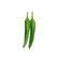 Dynamite Green Chile Seeds - Extra Hot Variety - GMO-Free – Sandia Seed ...