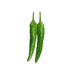 Dynamite Green Chile Seeds - Extra Hot Variety - GMO-Free – Sandia Seed ...