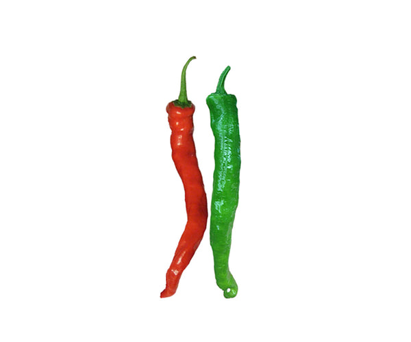 Fushimi Sweet Pepper Seeds - Japanese Heirloom - Crisp Texture – Sandia ...