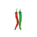 Fushimi Sweet Pepper Seeds - Japanese Heirloom - Crisp Texture – Sandia ...
