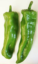 Marconi Giant F1 Sweet Pepper Seeds – Sandia Seed Company