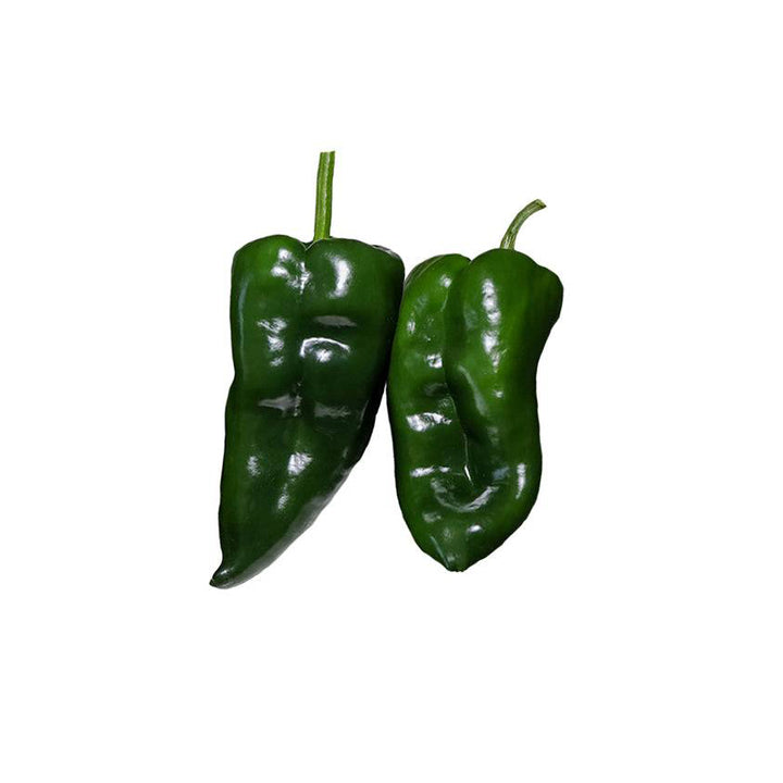 Poblano Seeds – Sandia Seed Company