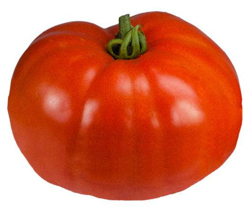 Tomato - Beefmaster F1 Seeds – Sandia Seed Company