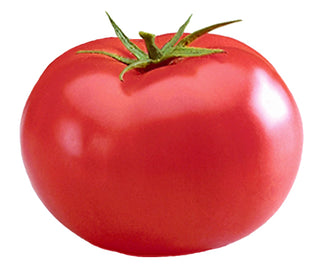 Big Beef F1 Tomato Seeds – Sandia Seed Company