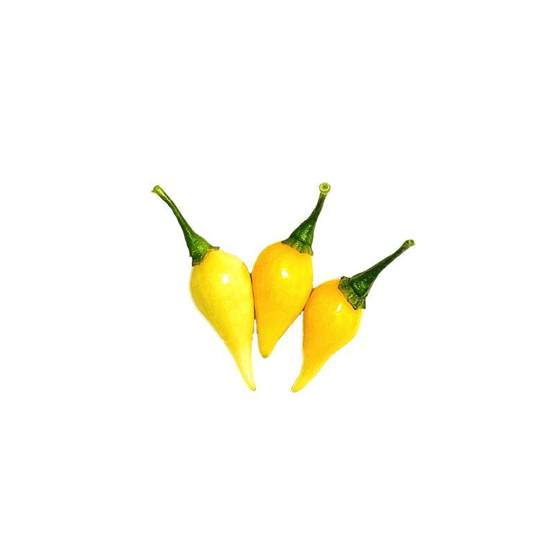 Buy Yellow Biquinho Pepper Seeds - GMO-Free | Mild Heat, Heirloom ...