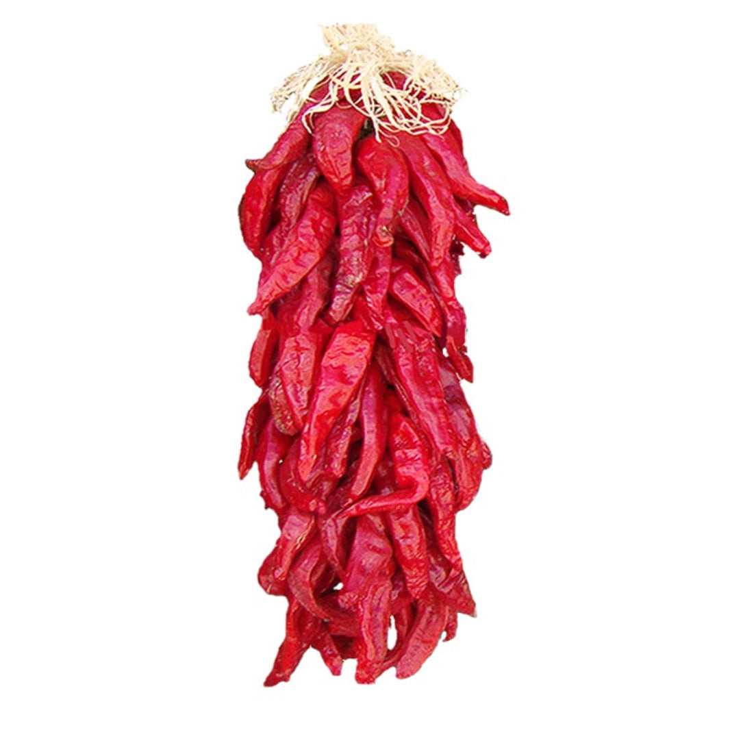 New Mexico Chile Seeds – Sandia Seed Company