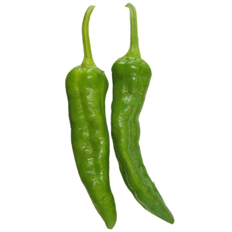 Hatch Green X Hot - Barker's Hot Chile Seeds – Sandia Seed Company
