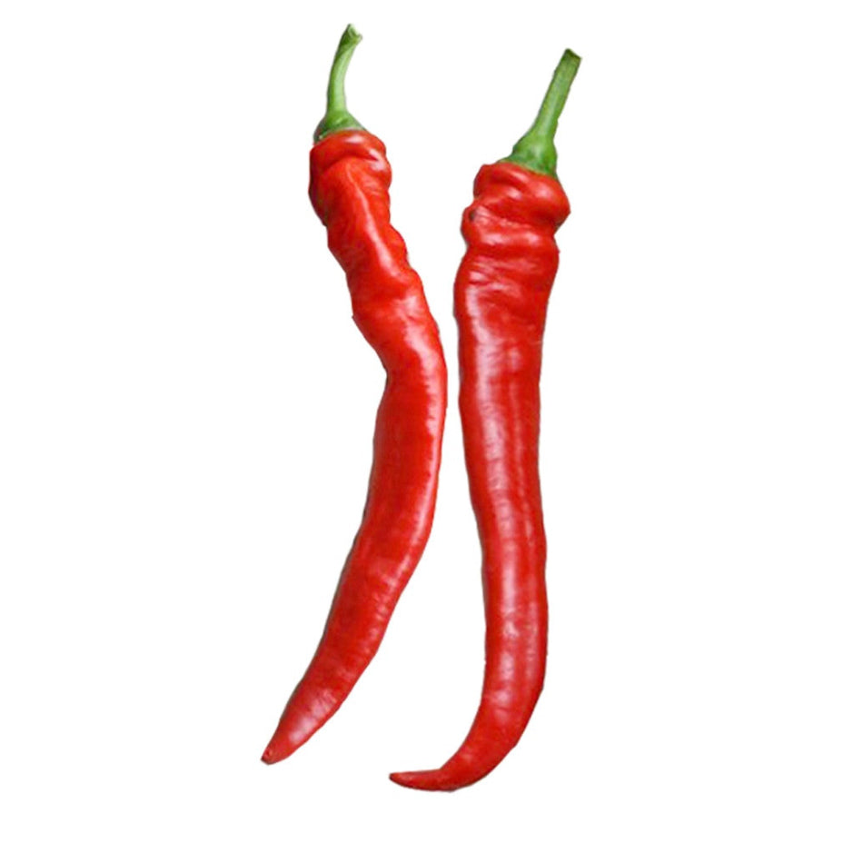 Jimmy Nardello Sweet Pepper Seeds - Delicious Heirloom – Sandia Seed ...