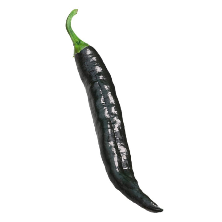 Mexican Peppers – Sandia Seed Company
