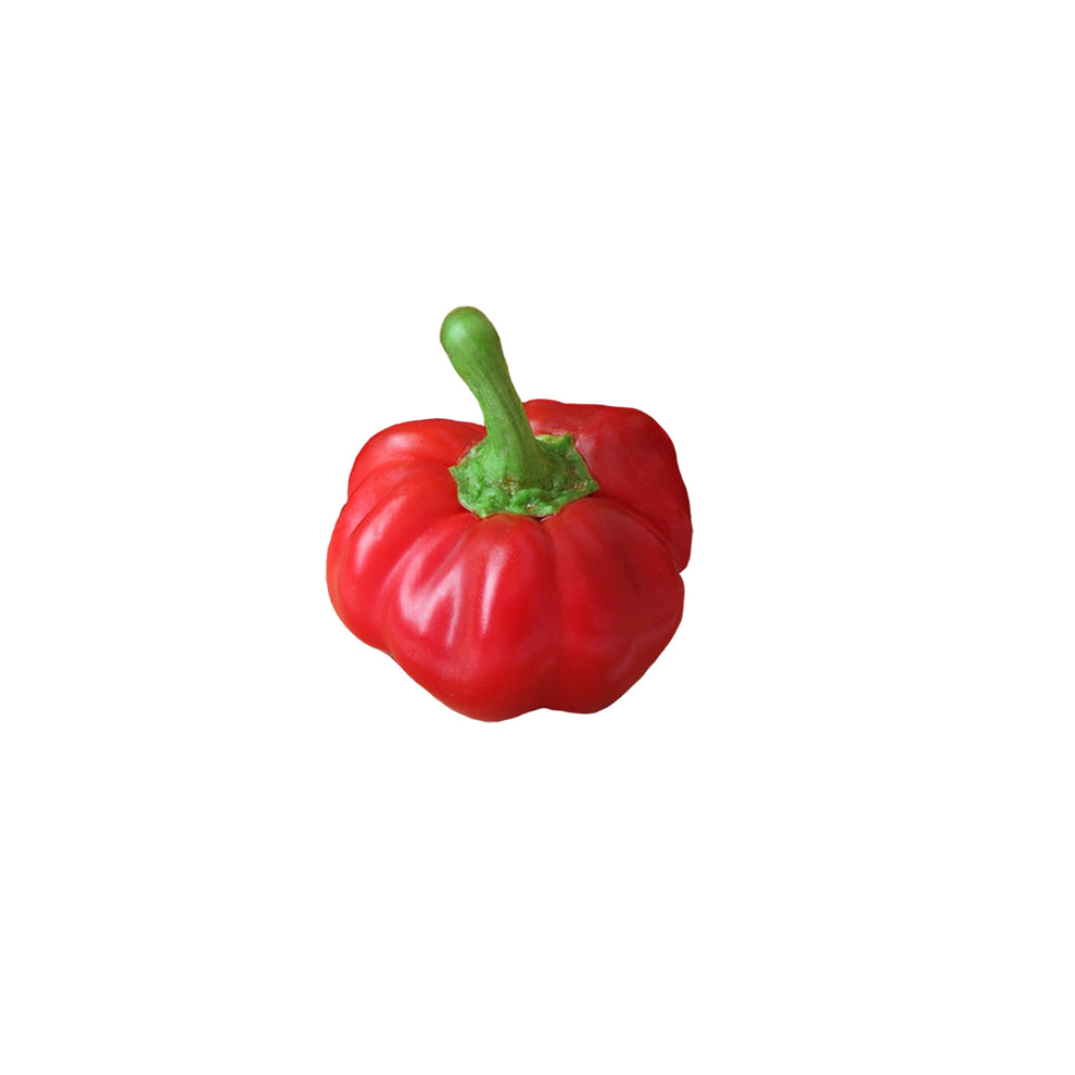 Pimento Sheepnose Pepper Seeds – Sandia Seed Company
