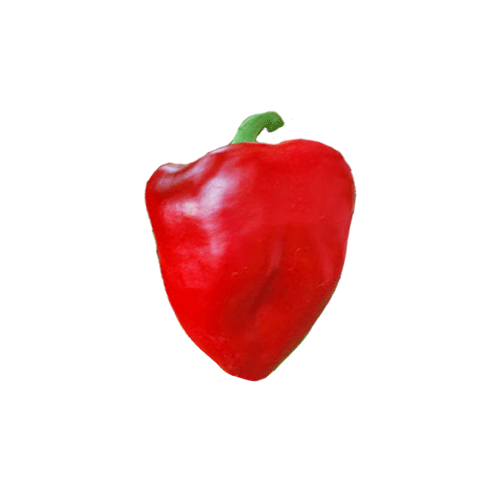 Pimento Pepper Seeds – Sandia Seed Company